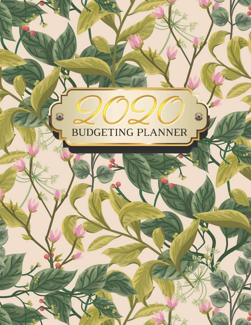 Buy Budgeting Planner 2020: 12 Month Budget Planner Money Saving ...