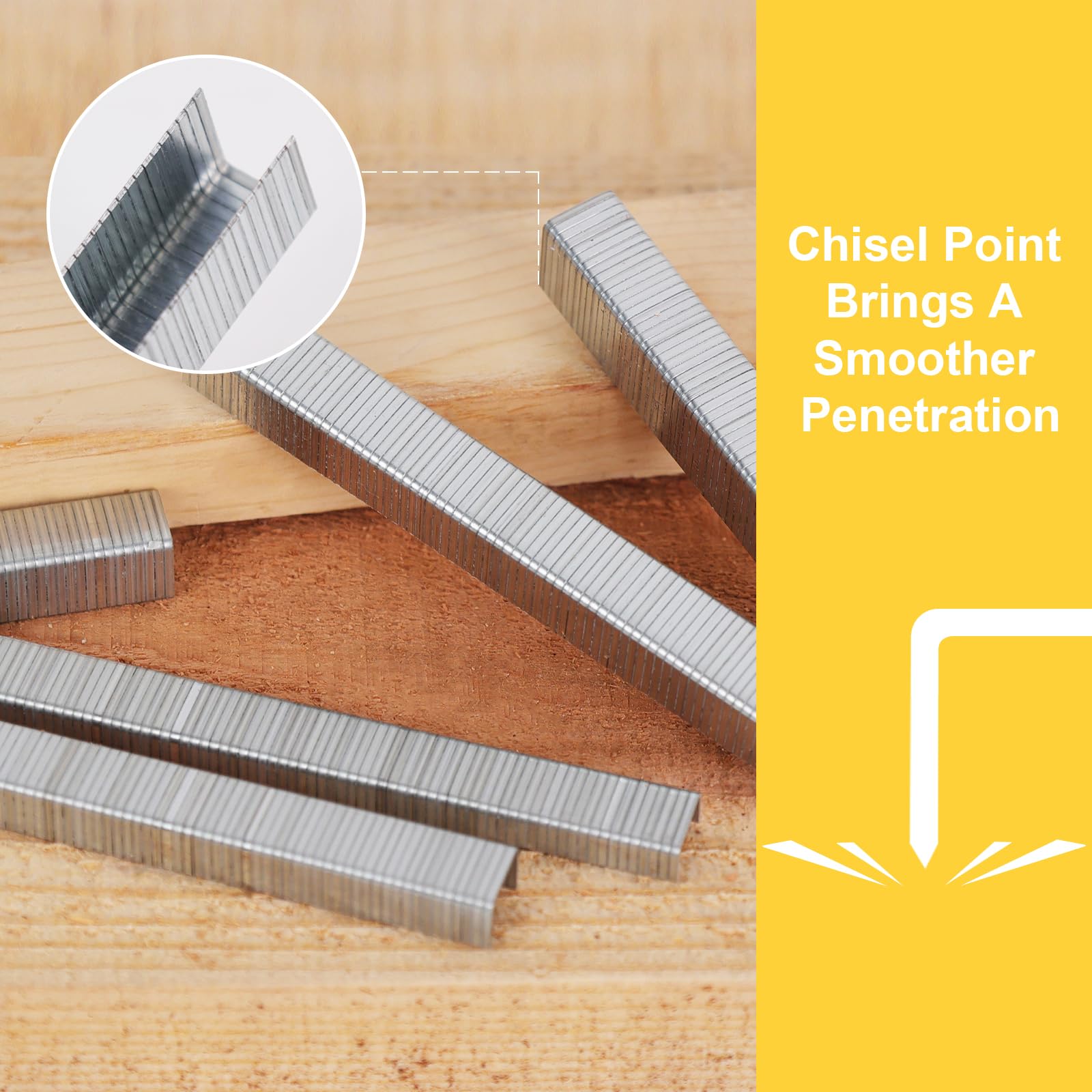 Snapklik.com : Heavy Duty Staples, 2000 Counts 9/16 Inch T50 Staples ...