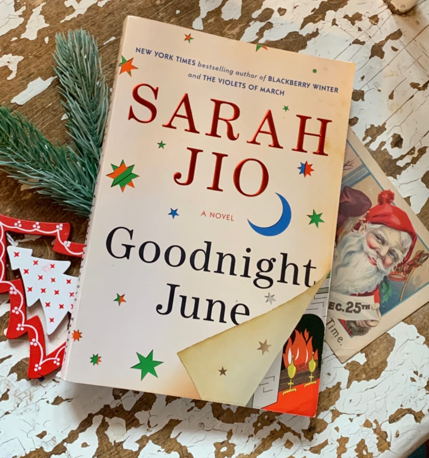 Goodnight June: A Novel: Jio, Sarah: 9780142180211: Amazon.com: Books