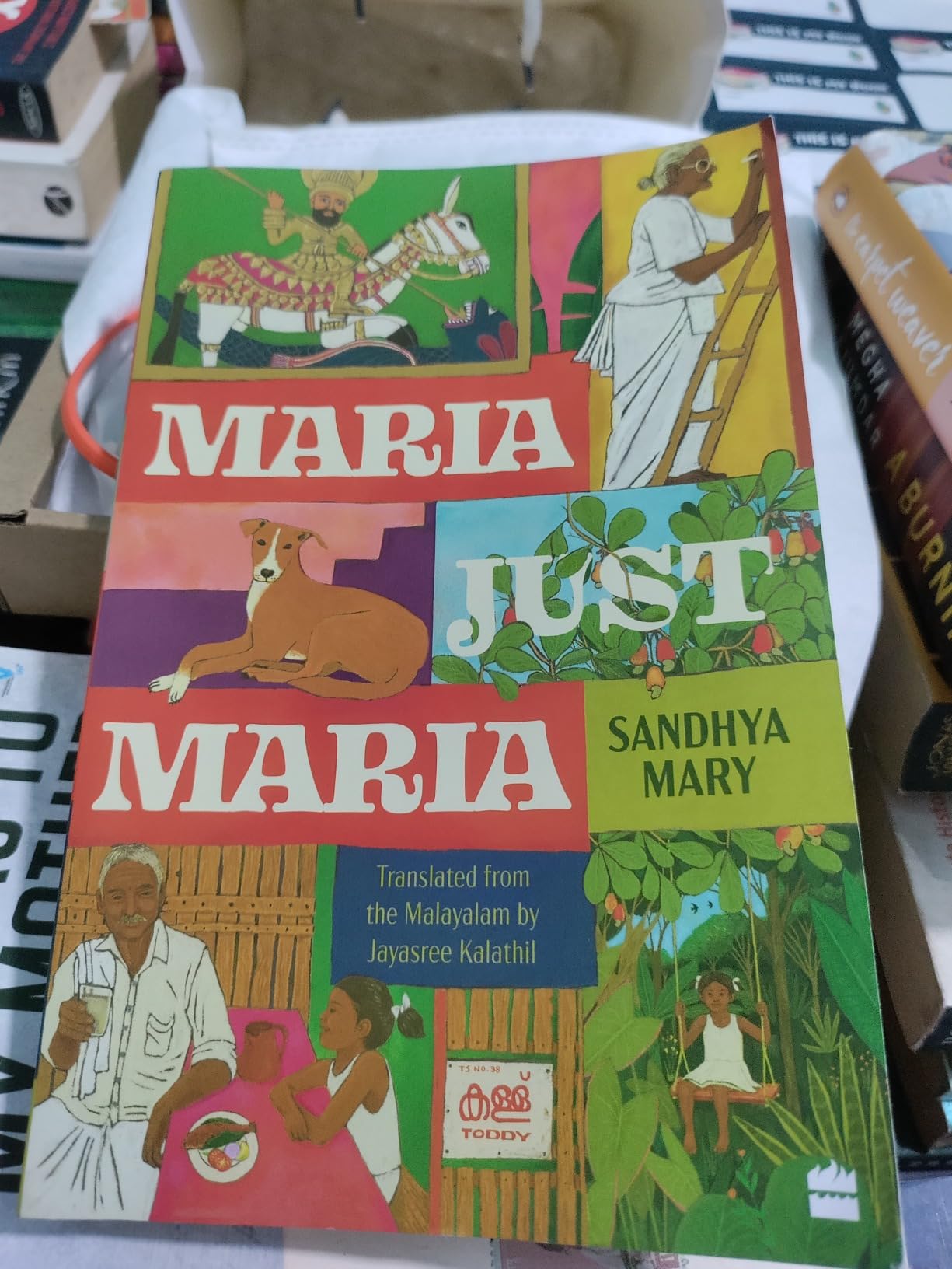 Maria, Just Maria : Mary, Sandhya, Kalathil, Jayasree: Amazon.in: Books