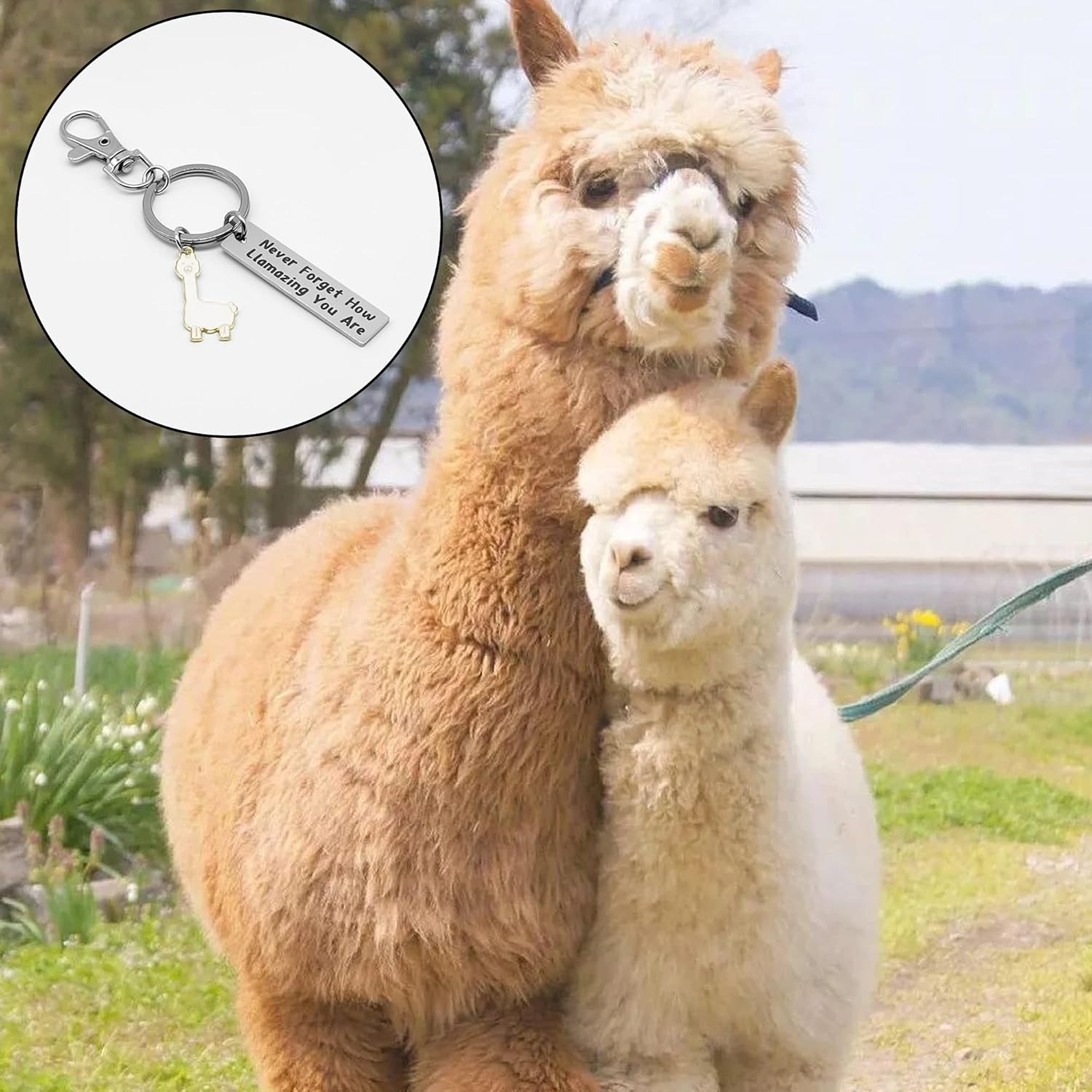 Motivational Llama Keychain Never Forget How Llamazing You are，Llama ...