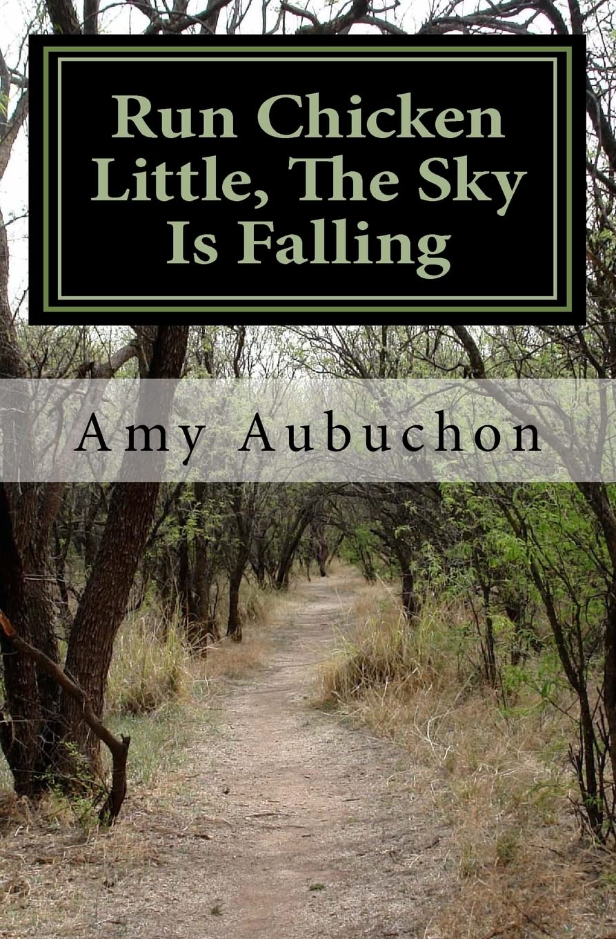 Run Chicken Little, The Sky Is Falling: A Suspense Thriller: Aubuchon ...