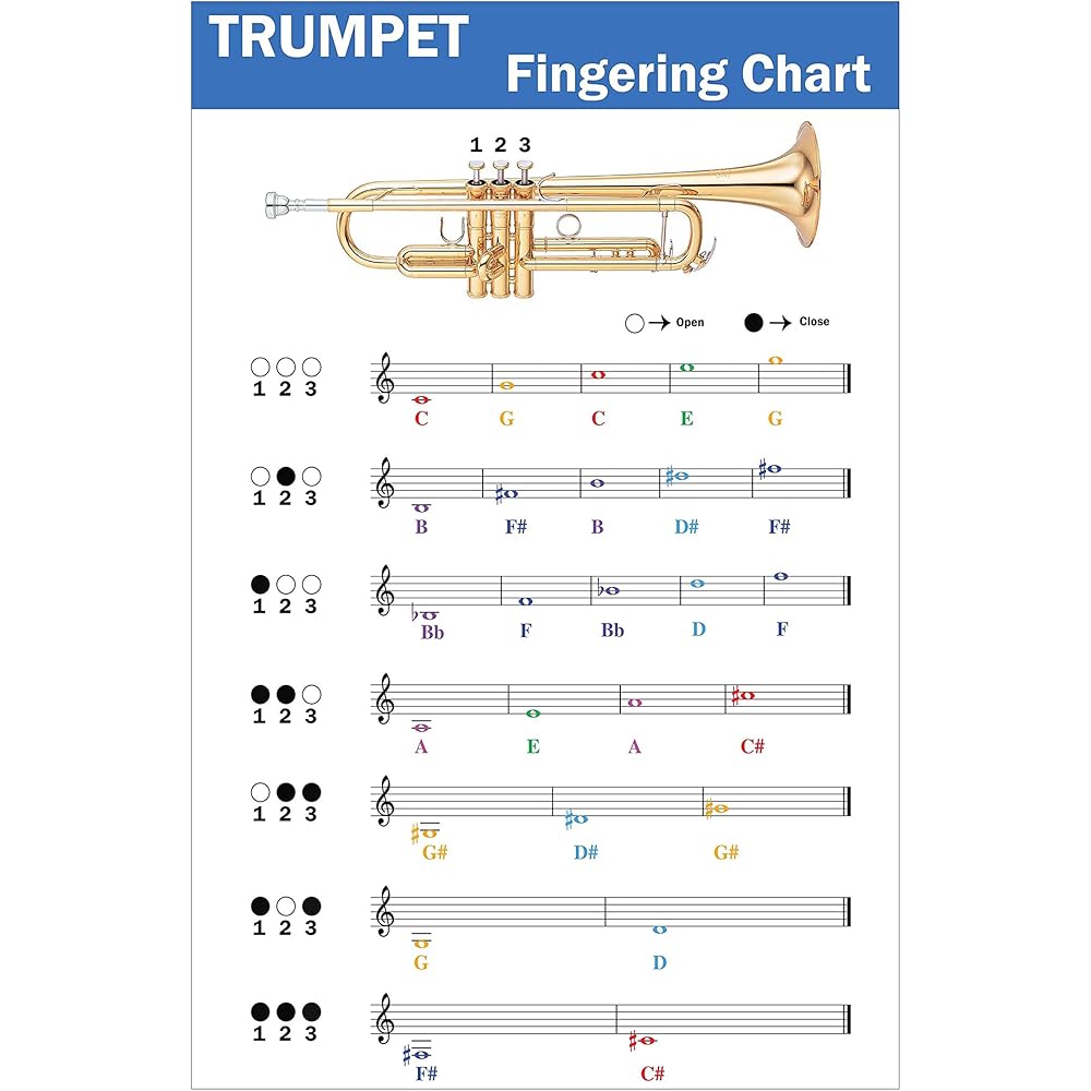 $3/mo - Finance QMG Trumpet Fingering Chart with Color-Coded Notes ...