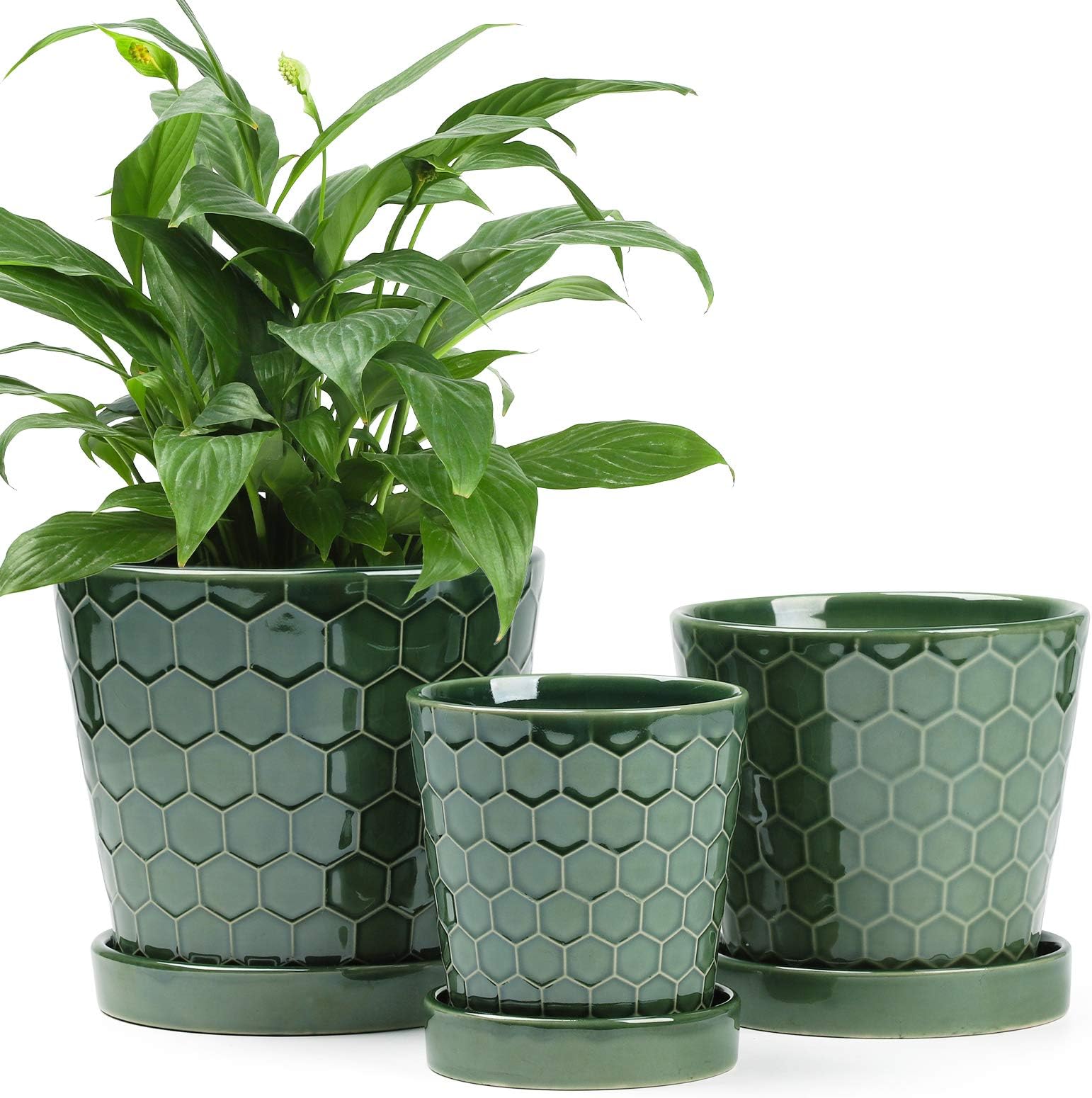 Amazon.com : homenote Plant Pots Indoor 6/4.8 inch Pack 2, Ceramic ...