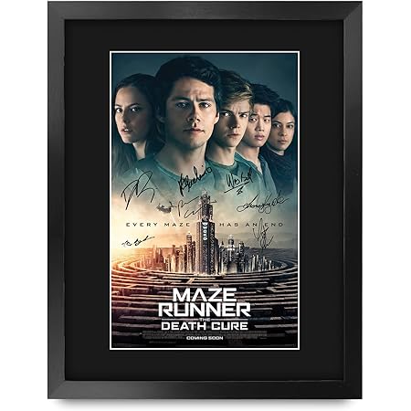 Amazon.com: Maze Runner Movie Poster Glossy Finish - MOV417 (24" x 36 ...