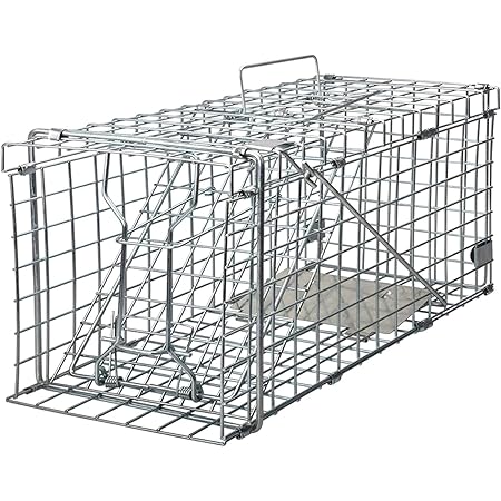 Amazon.com: Havahart 1083 Catch and Release Small 1-Door Easy Set ...