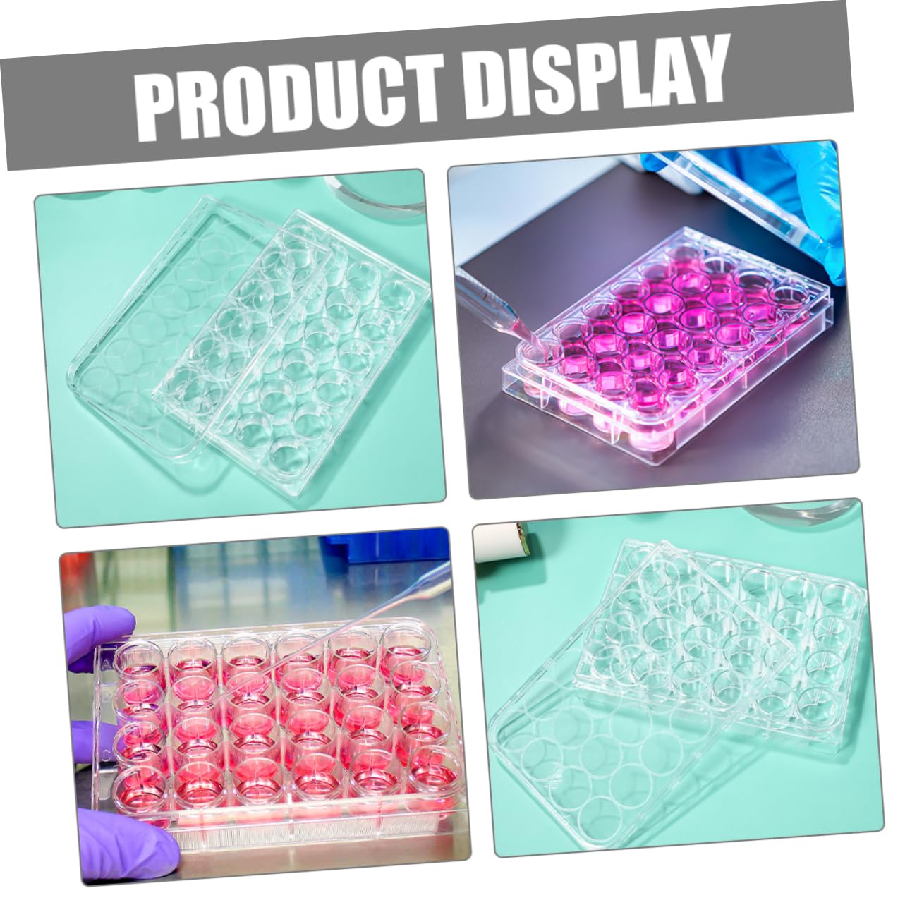 Laboratory Tissue Culture JECOMPRIS 24-Well Cell Culture Plates - Trays ...