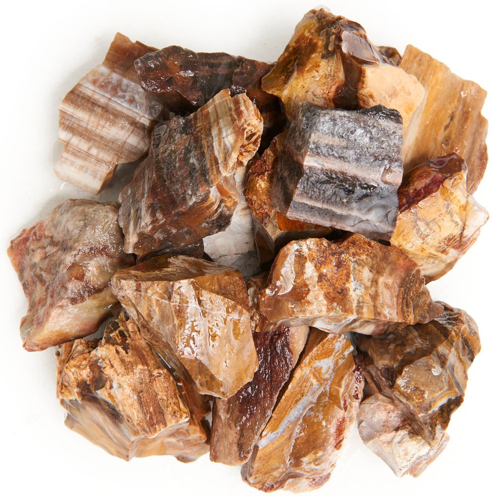 Petrified Wood Rock