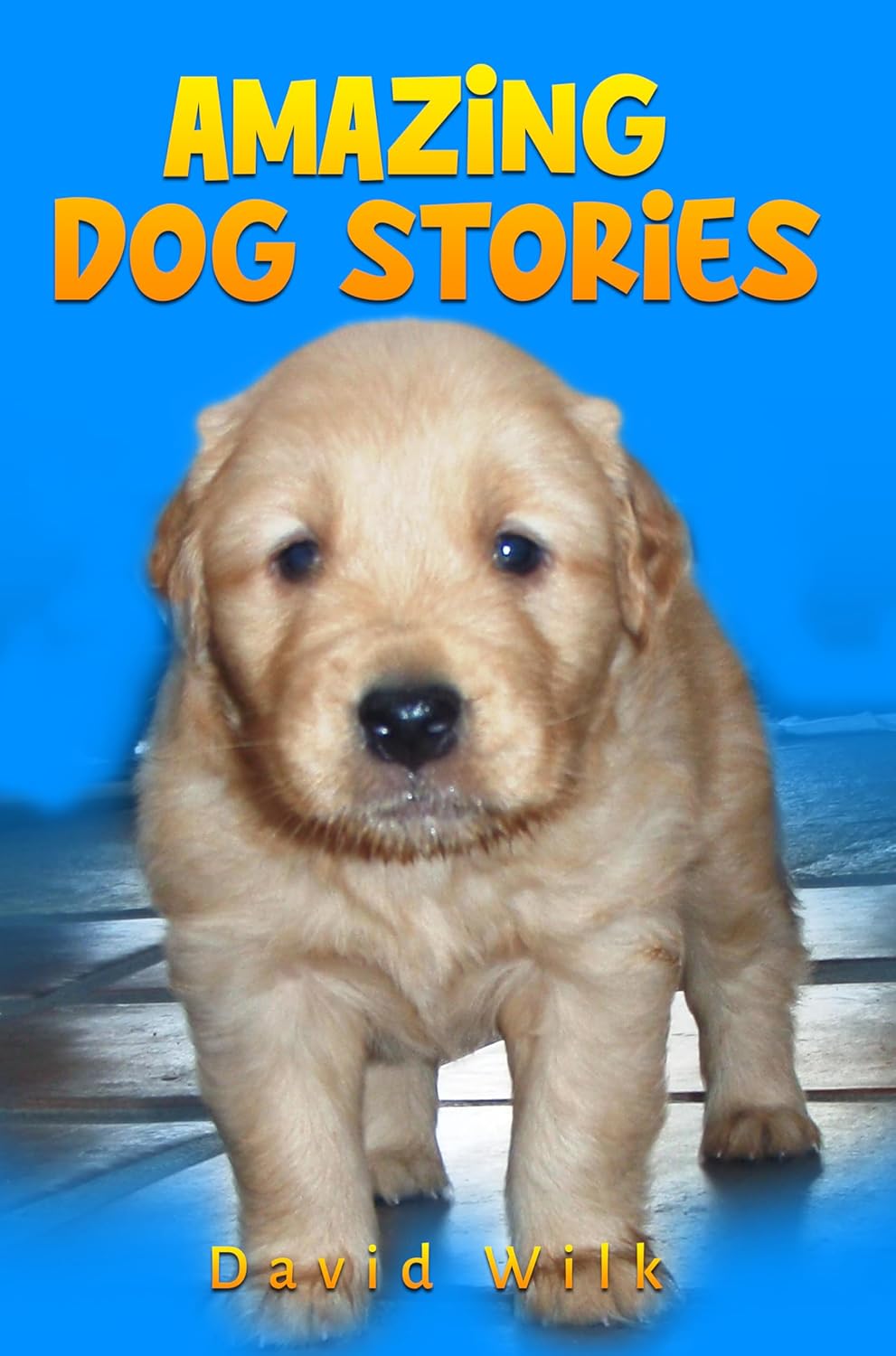 Amazing Dog Stories: The Hilarious, Thrilling, Heartwarming Adventures of a Lifetime Shared With ...