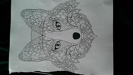 Amazon.com: Adult Coloring Book: Animal Kingdom: Animals Out The Wazoo ...