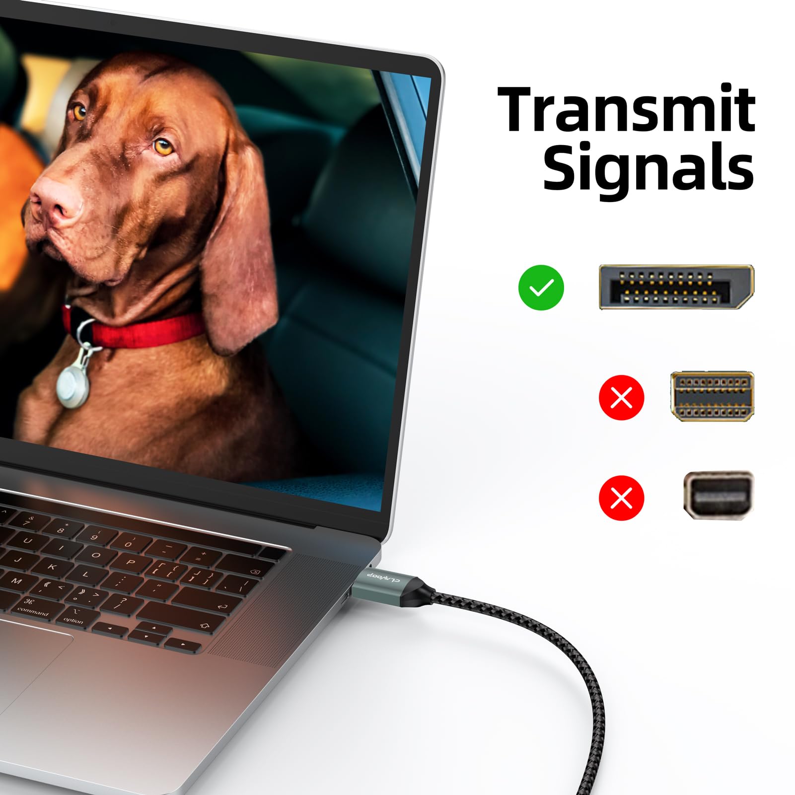 Snapklik.com : DisplayPort To Displayport Cable 6FT, 5 Pack 4K60Hz DP ...