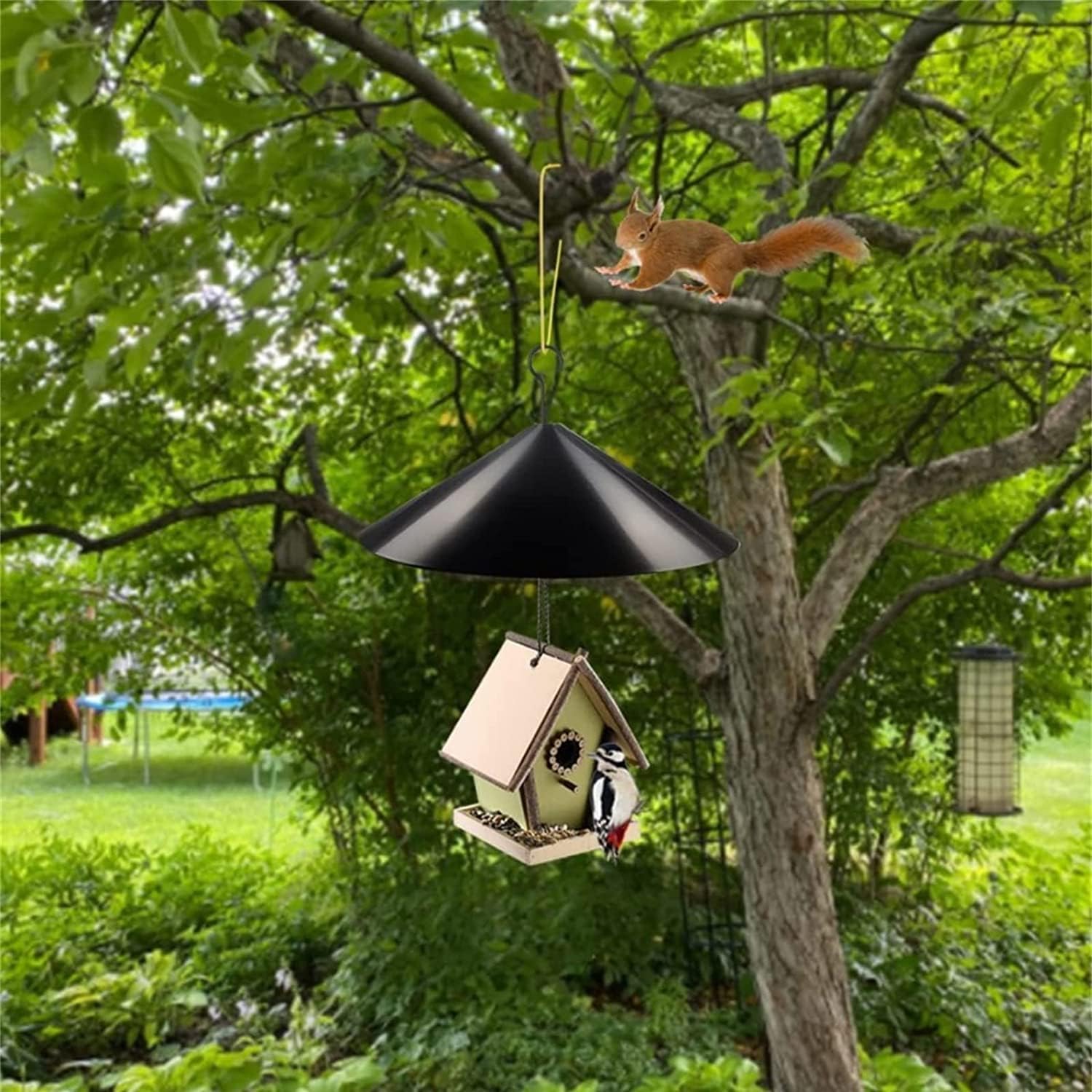 Amazon.com : New Squirrel Baffle, Squirrel Guard for Bird Feeder Pole ...