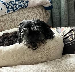 Amazon.com: Boiron Ledum Palustre 1M Md 80 Pellets for Insect Bites or ...