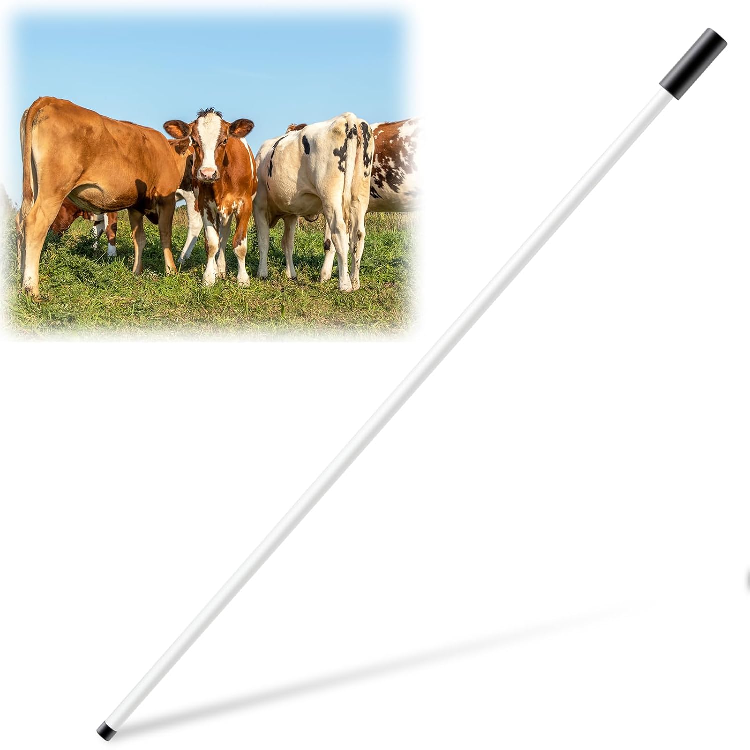 Amazon.com: Chunful 53 Inch Fiberglass Livestock Sorting Stick White 1/ ...
