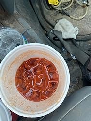 Amazon.com : V8 Original 100% Vegetable Juice, 12 fl oz Bottle (12 Pack ...