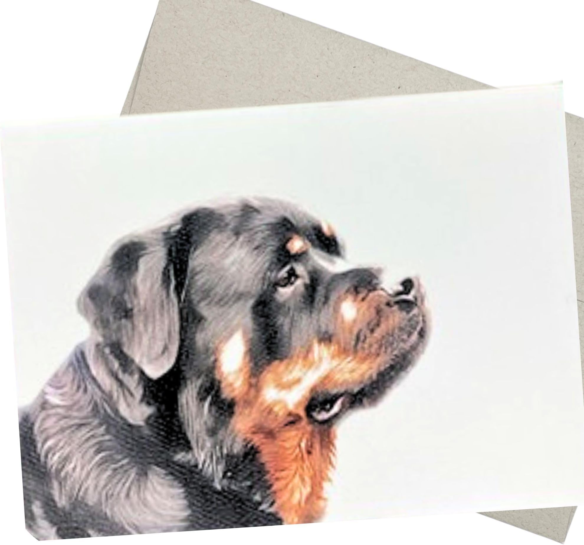 Amazon.com : Groomers Margins Rottweiler Birthday Card (7X5 Inches and ...
