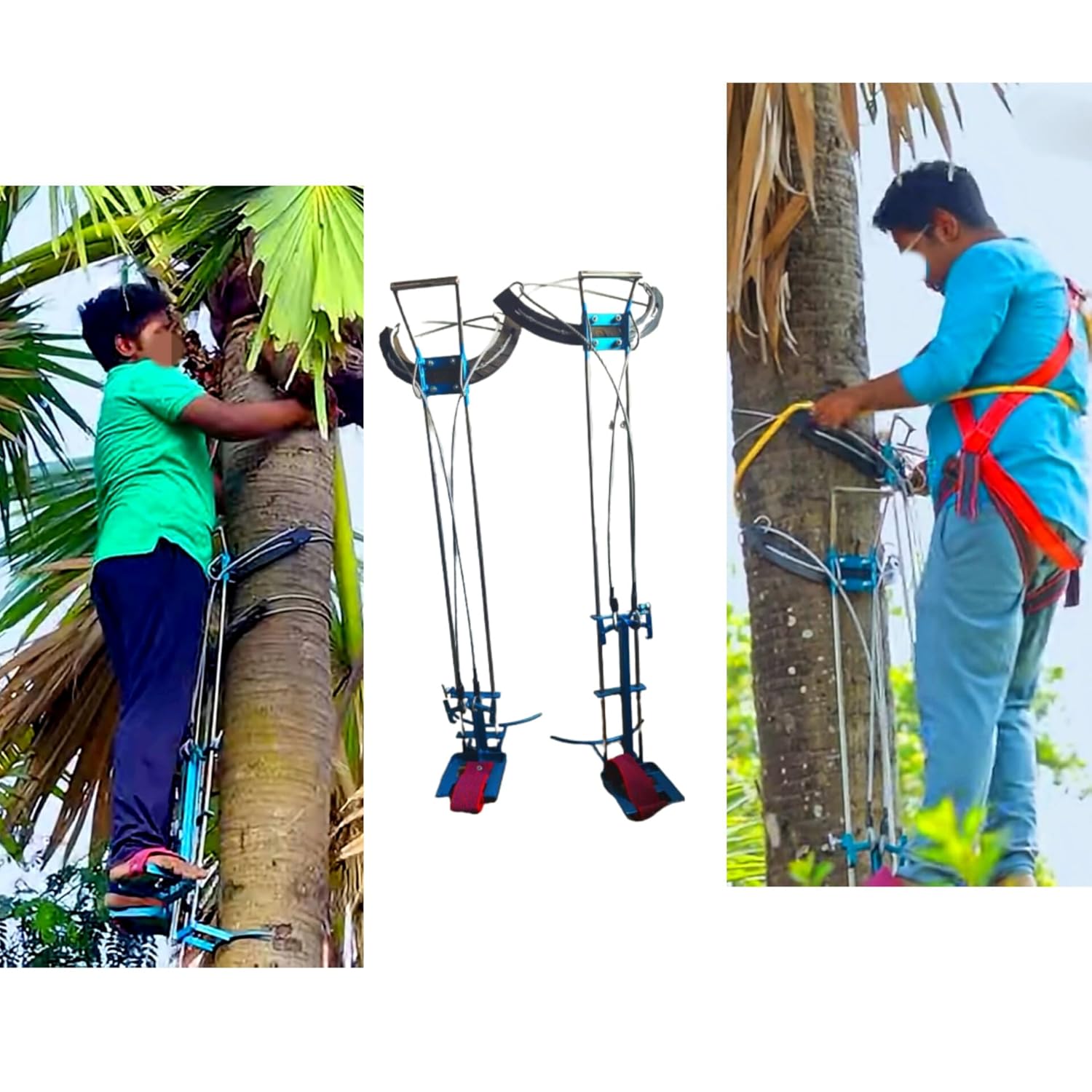Heavy Duty Palmyra Tree Climbing Machine - Multi Tree Climber - Toddy ...