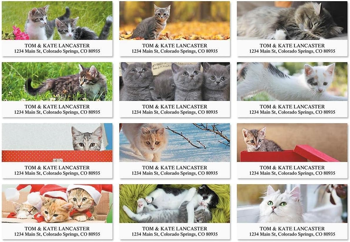 Amazon.com : Colorful Images Love of Cats Return Address Mailing Labels ...