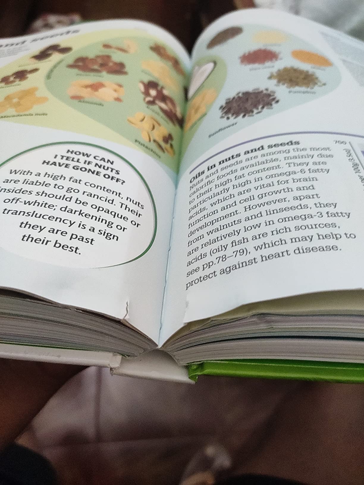 How Food Works : DK: Amazon.in: Books