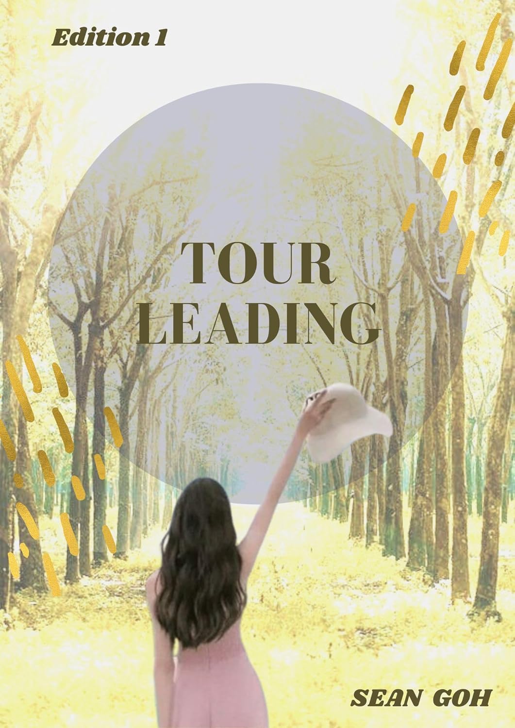 Tour Leading eBook : Goh, Sean : Amazon.in: Kindle Store