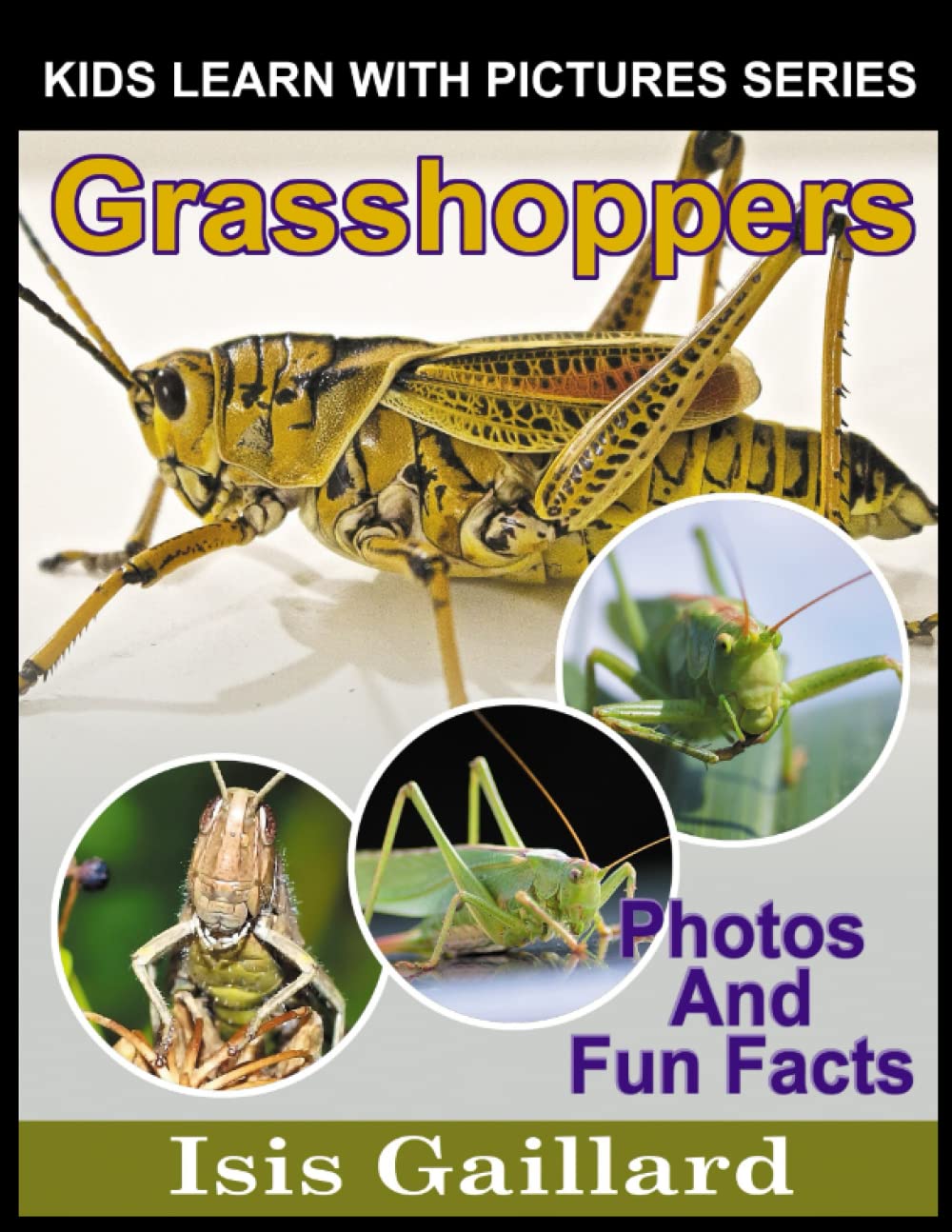 Grasshoppers: Photos and Fun Facts for Kids (Kids Learn With Pictures ...