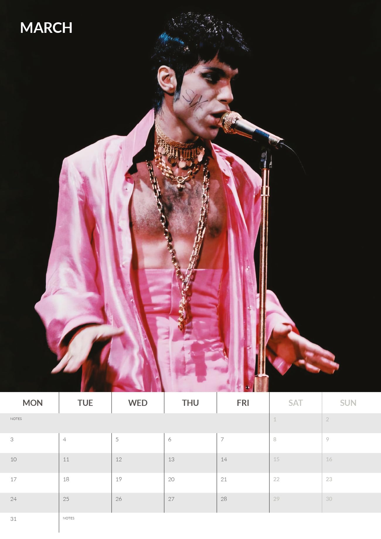 Prince 2025 Calendar – BigaMart