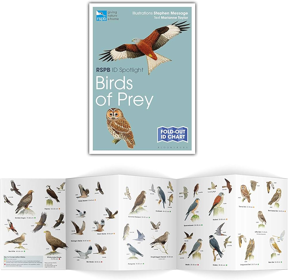 Our Favourite Facts From The RSPB Spotlight Series!, 49% OFF