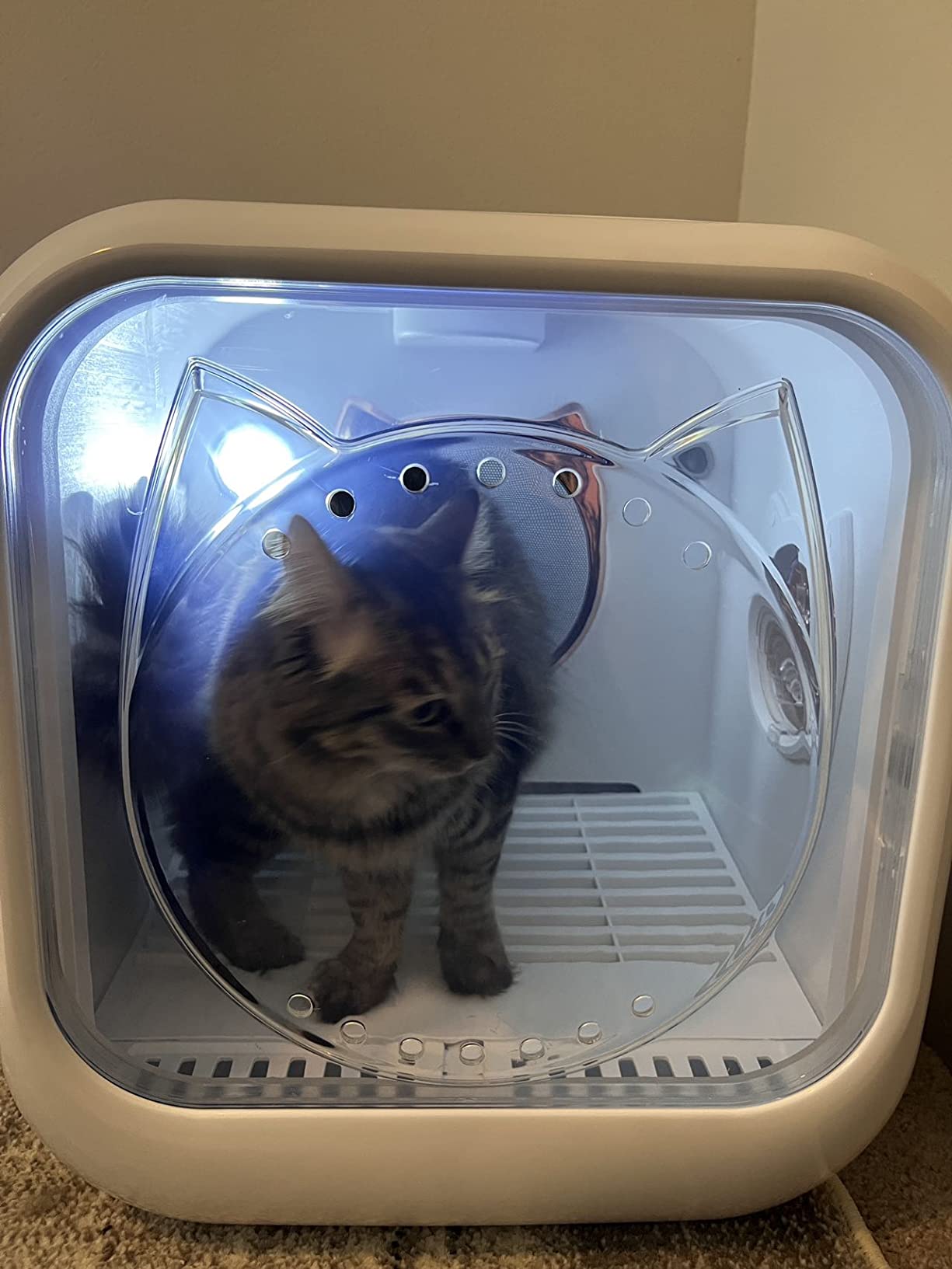 $13/mo - Finance Automatic Pet Dryer for Cats and Small Dogs ...