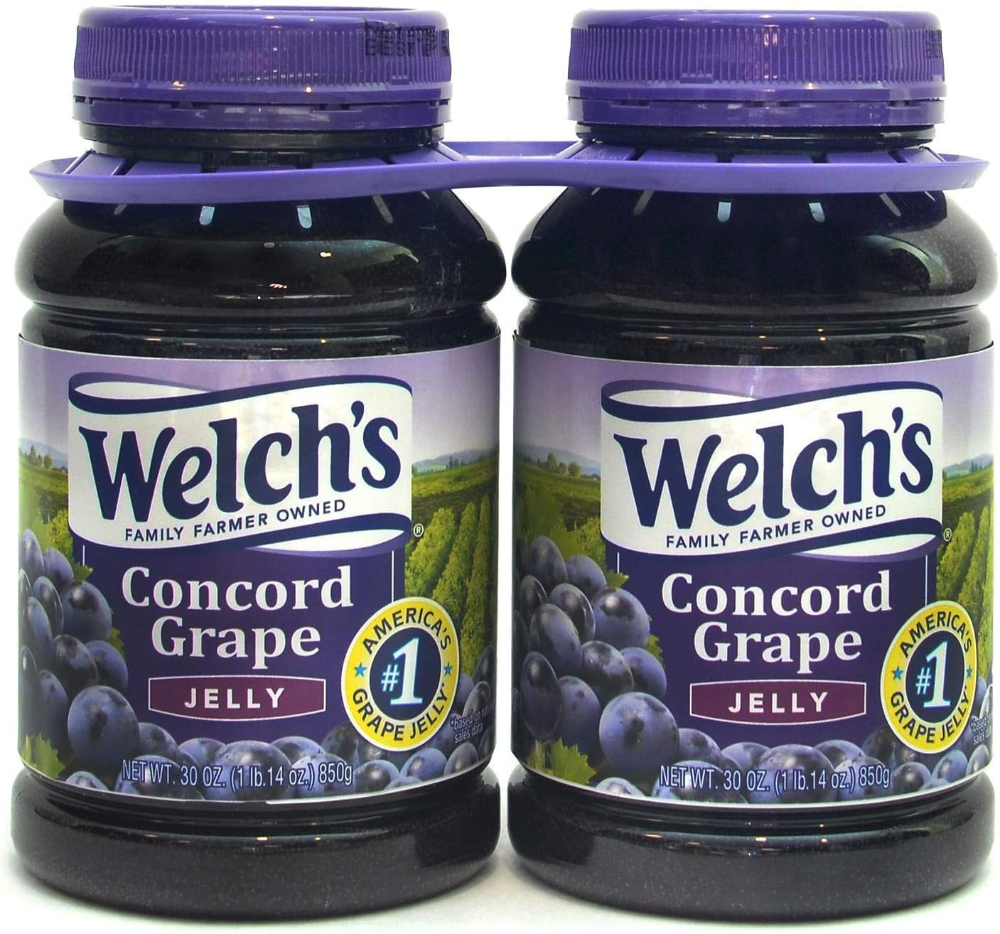 Welchs Concord Grape Jelly, 30 Ounce (Pack of 3) : Amazon.ca: Grocery ...