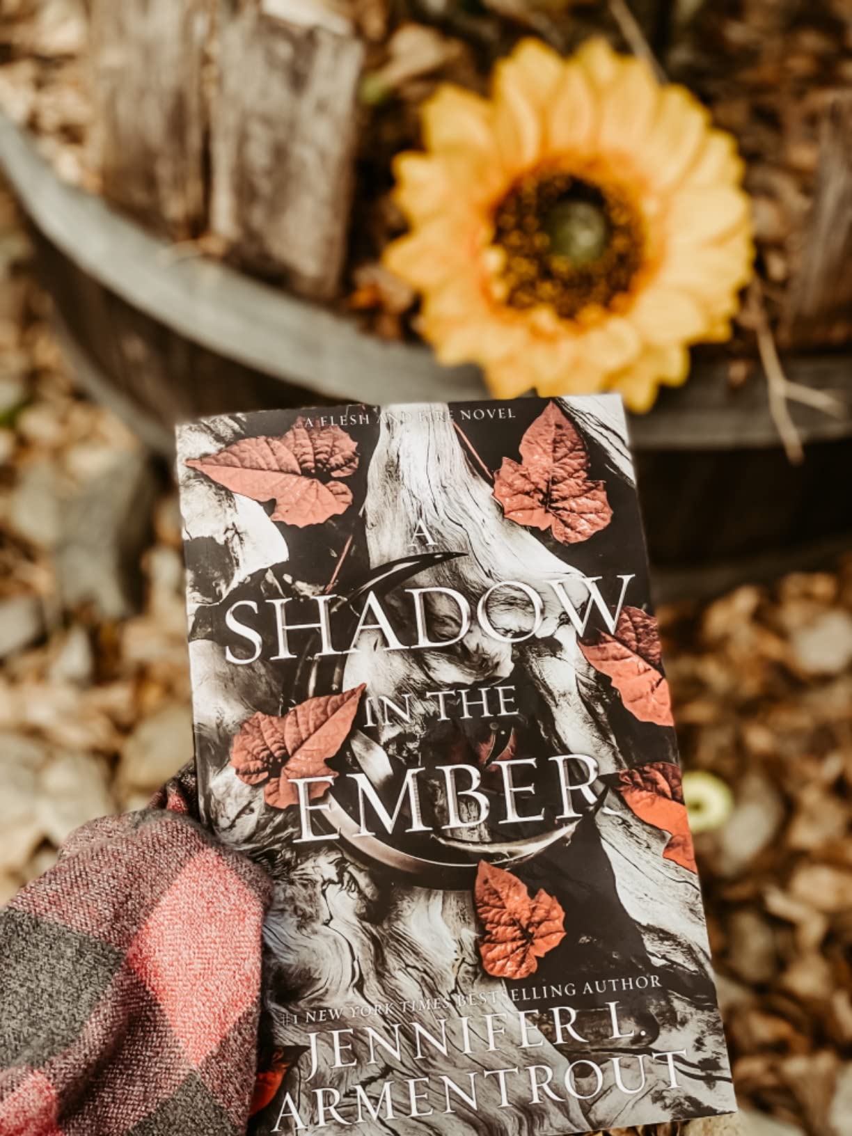 A Shadow in the Ember : Armentrout, Jennifer L.: Amazon.com.au: Books
