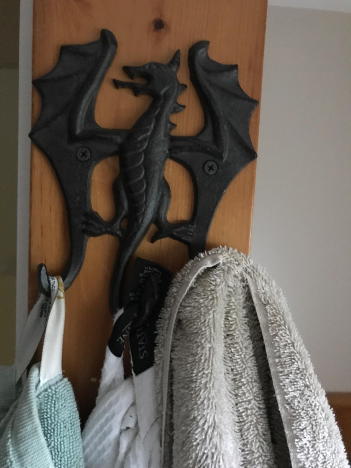 Amazon.com: WINTENT Cast Iron Fly Dragon Wall Hook Hanger with 3 Hooks ...