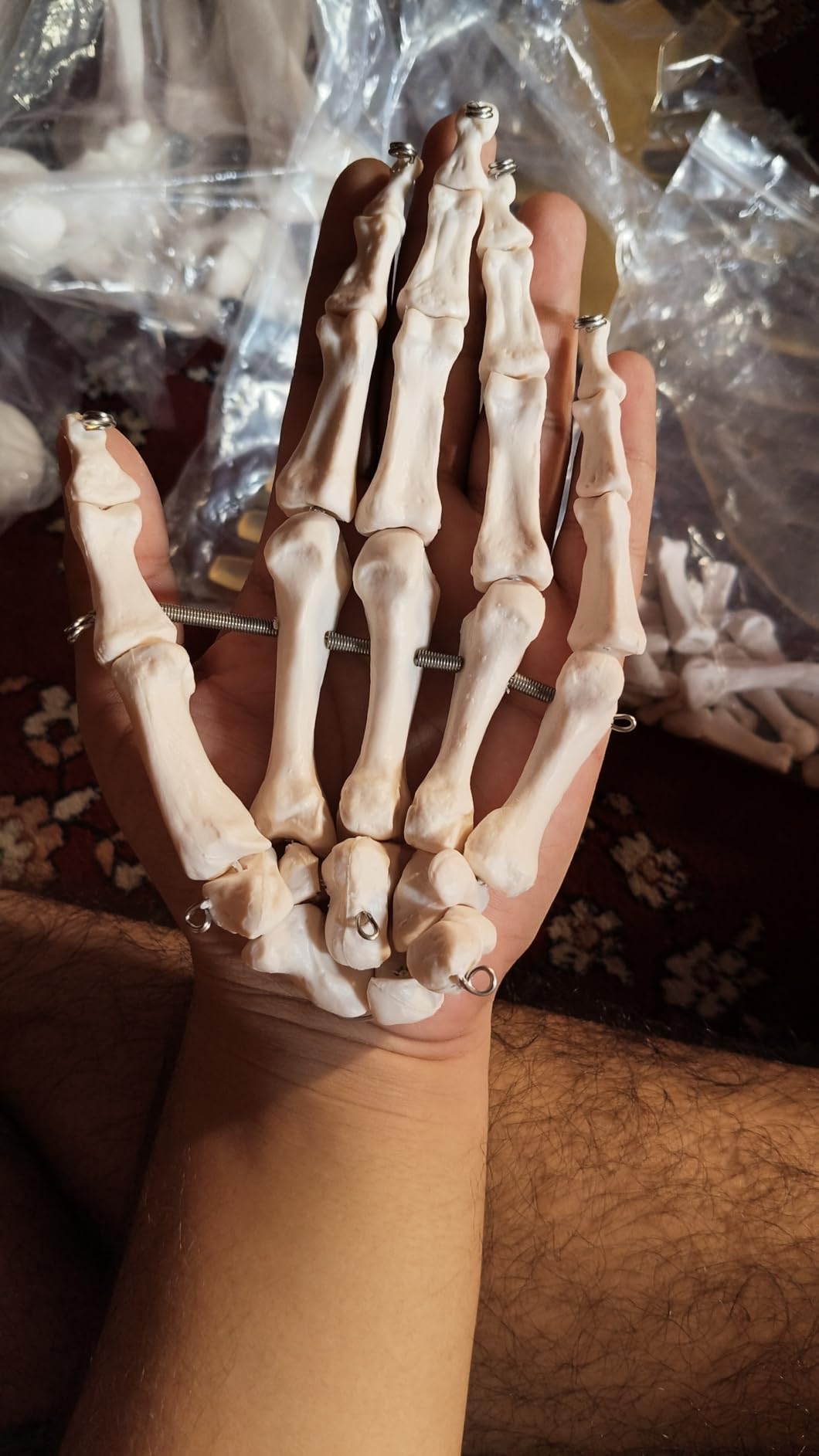 Myaskro® - Boneset For Medical Students (MBBS) , Bilateral , 96% ...
