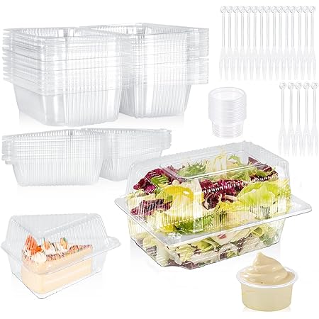 Amazon.com: 100 Pcs Clear Plastic Hinged Take Out Containers Kit ...