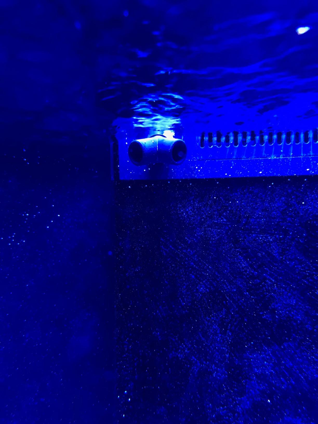 Amazon.com: Dual Nozzle Splitter Return - Red Sea Nozzle for Reefer ...