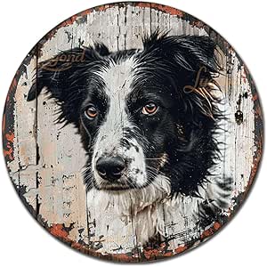 Amazon.com: Lygond Metal Sign Tin Sign Border Collie Dog Round Sign for ...