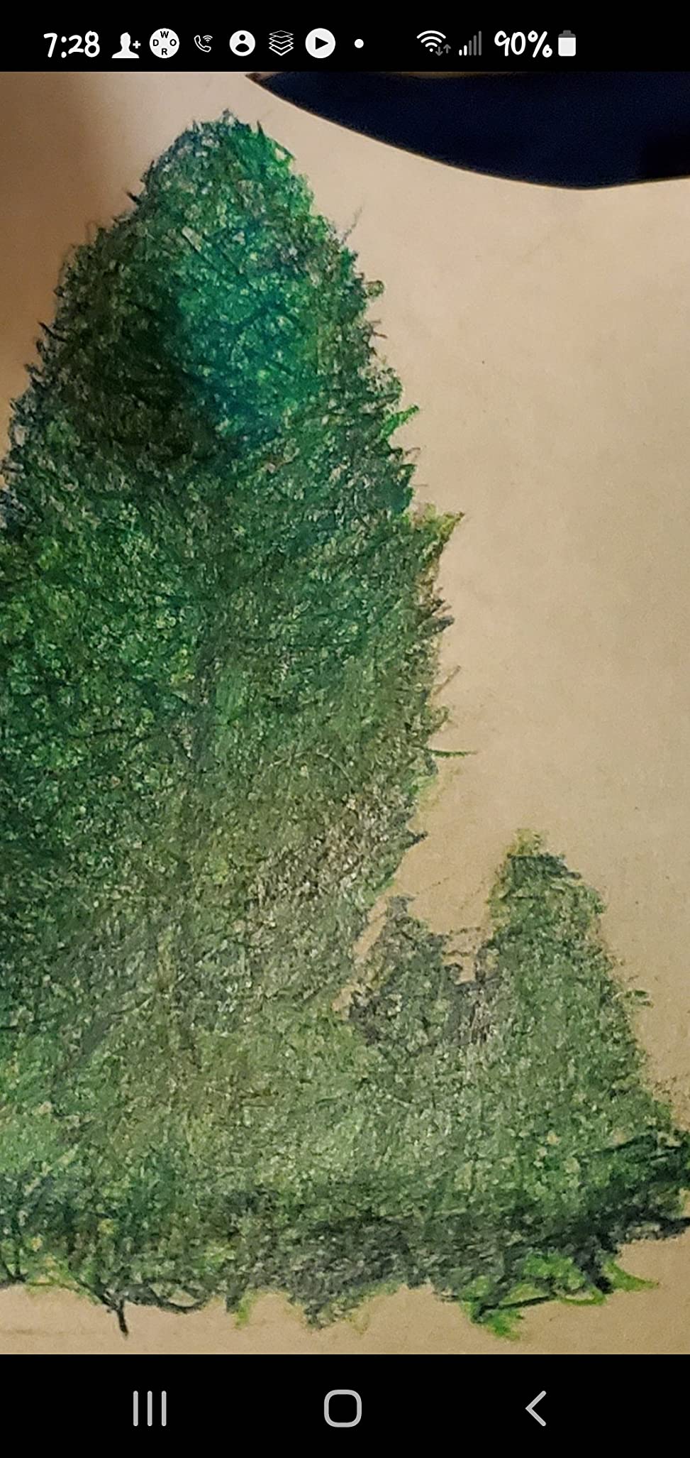 How to Draw Trees: in simple steps: John-Naylor, Denis: 9781844483730 ...