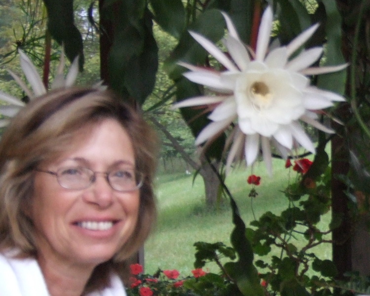 Amazon.com: Sandra Principe: books, biography, latest update