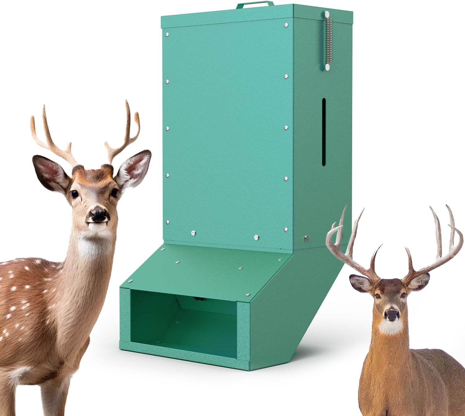 Amazon.com : Solution4Patio Large Metal Hanging Deer Feeder Box, Heavy ...