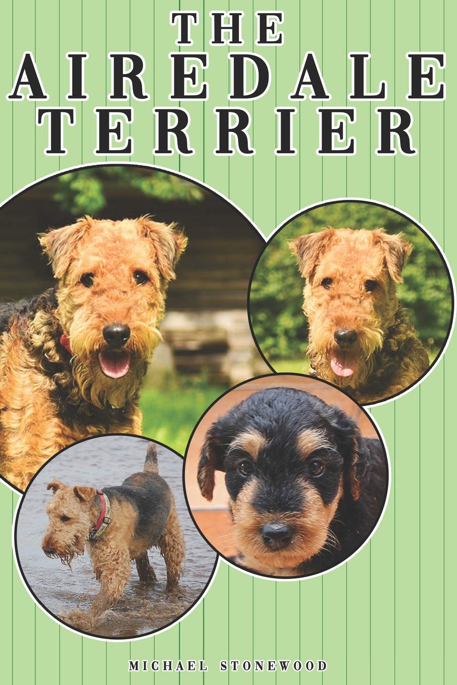 Airedale Terrier How To Groom