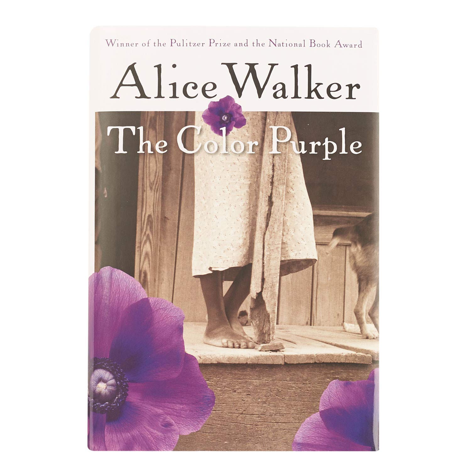 Amazon.com: The Color Purple: Tenth Anniversary Editon: 9780151191543 ...