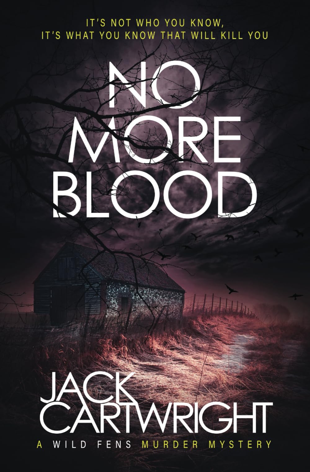No More Blood: A British Murder Mystery (The Wild Fens Murder Mystery Series): Amazon.co.uk ...