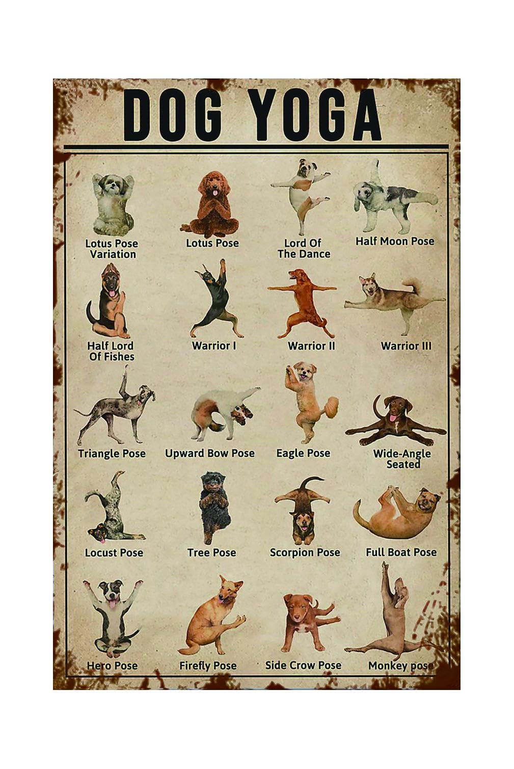 Amazon.com: Xanovir Dog Tin Sign Metal Poster Vintage Wall Décor, Dog ...