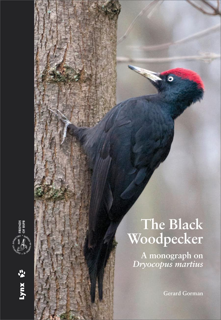 Amazon | The Black Woodpecker: A Monograph on Dryocopus Martius ...