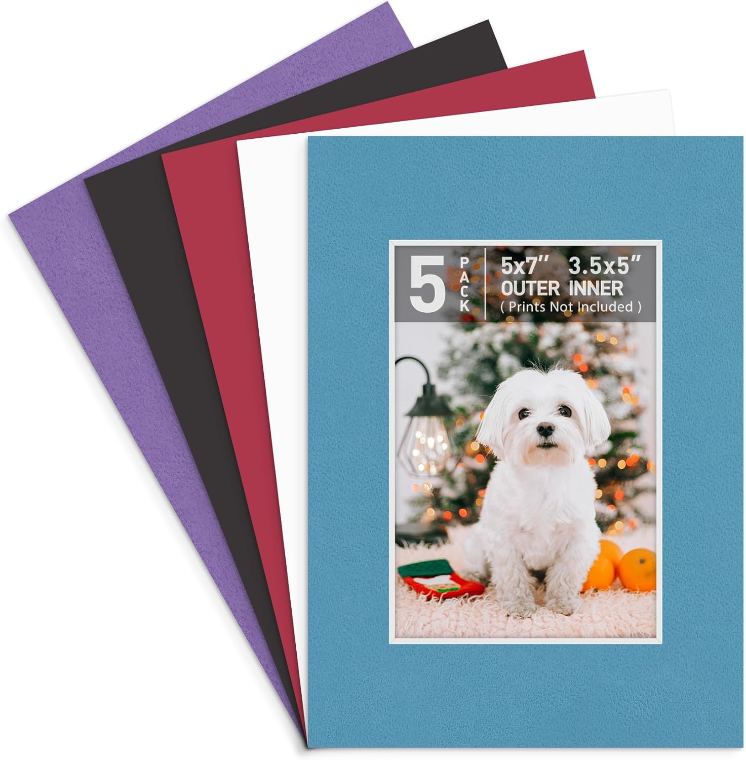 Amazon.com: Golden State Art, 5 Pack 5x7 Mixed Color Picture Frame Mat ...