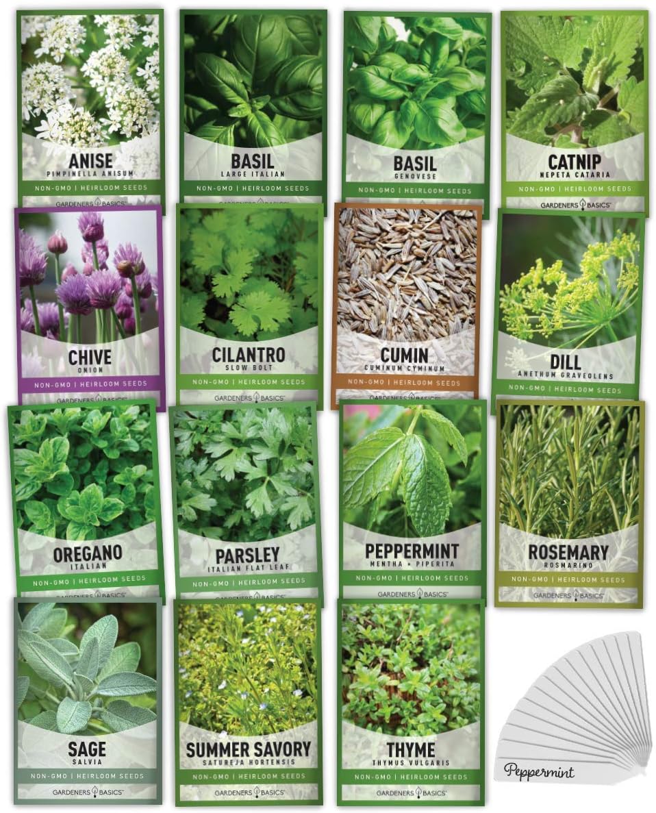 Amazon.com : 14 Culinary and Medicinal Herbs Seeds Variety Pack - 100% ...
