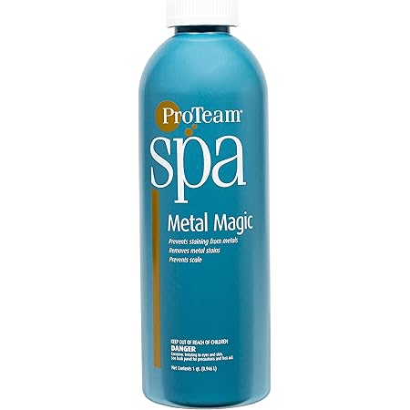 Amazon.com: ProTeam Spa Metal Magic (1 qt) : Patio, Lawn & Garden