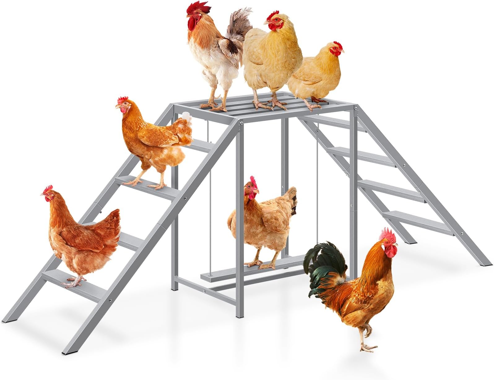 Amazon.com: Chicken Coop Perches with Swing, Chicken Roosting Bars ...