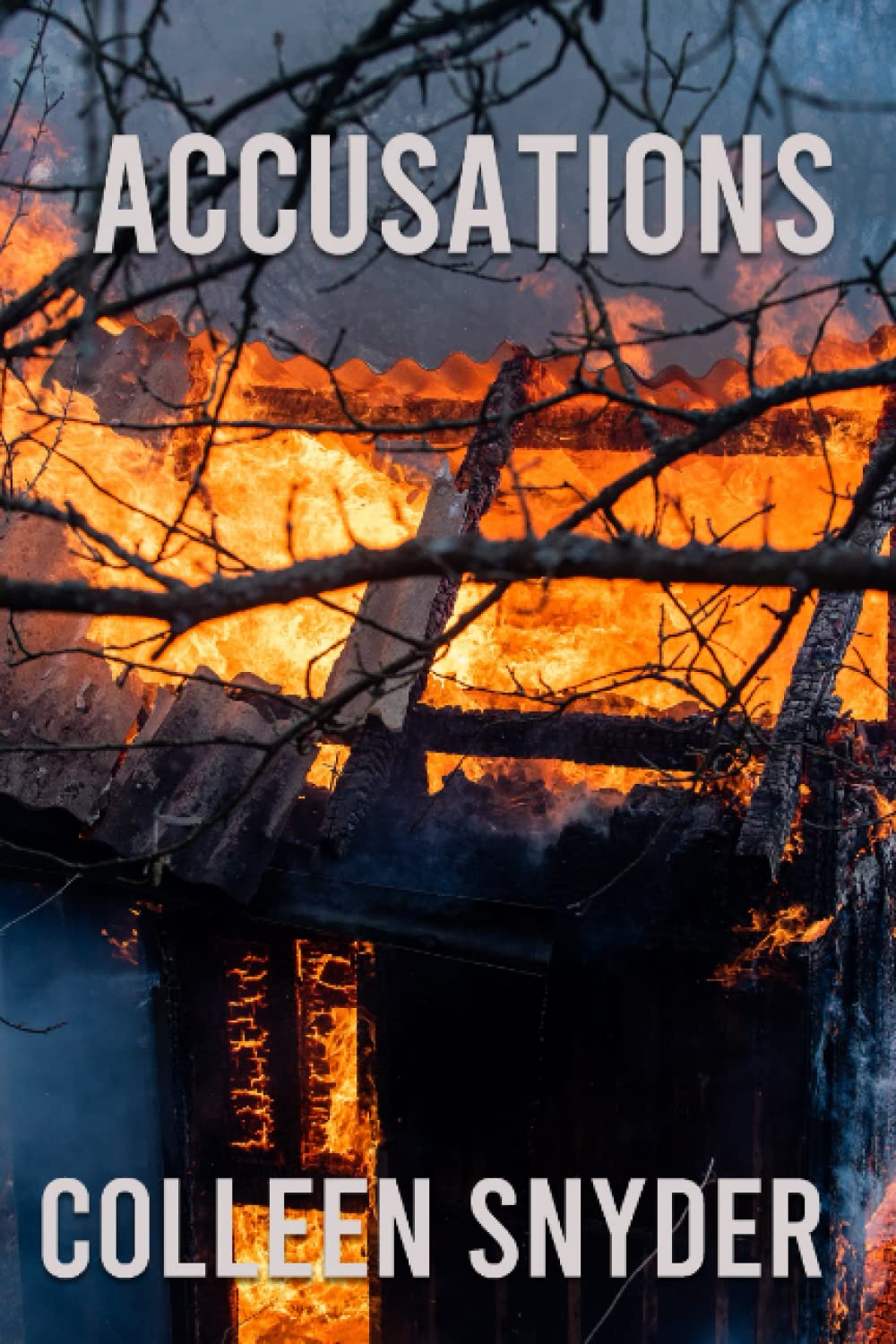 Accusations (Collin Walker Series): Snyder, Colleen: 9798392530830 ...