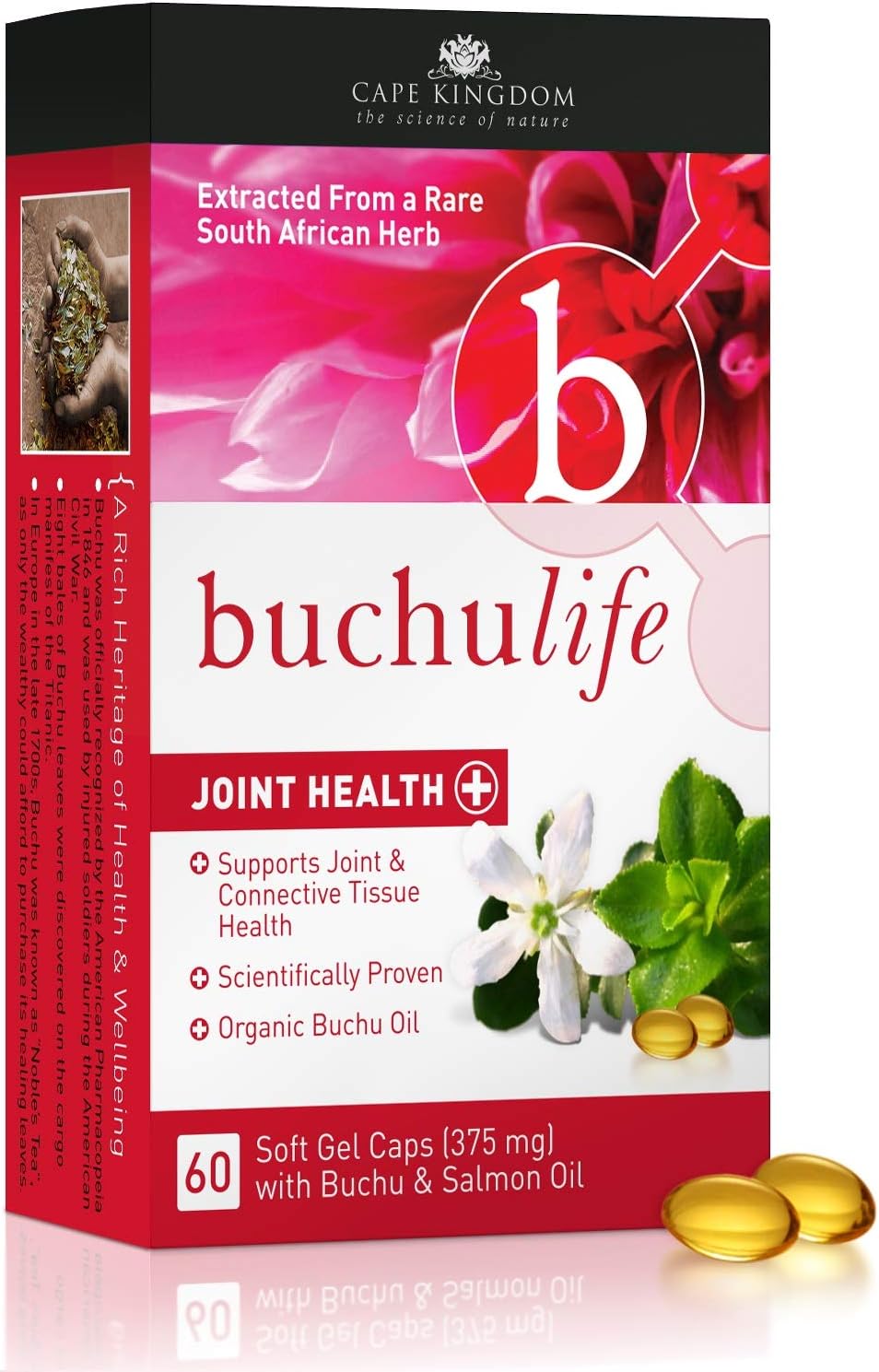 Amazon.com: Buchulife Joint Health Capsules 60s| Provides Lasting ...
