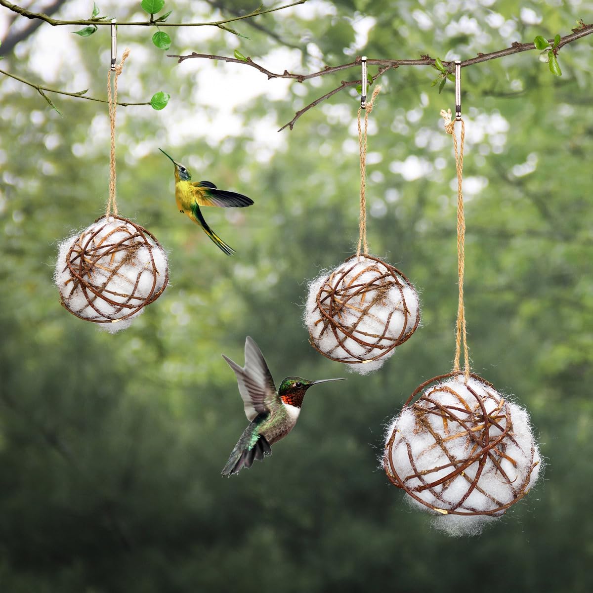 Amazon.com: Set of 3 Globe Hummingbird Nesters, Full of Bird Nesting ...